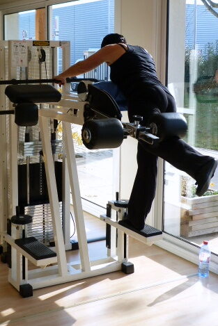 Technogym Standing Gluteus Isotonic Line - Exercise Machine - Catalog ...