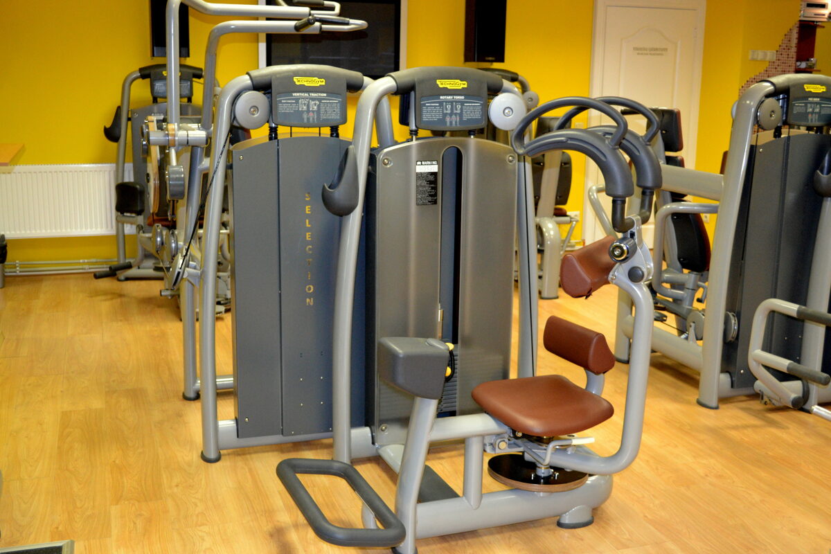 Technogym Selection Line Rotary Torso - Exercise Machine - Catalog ...
